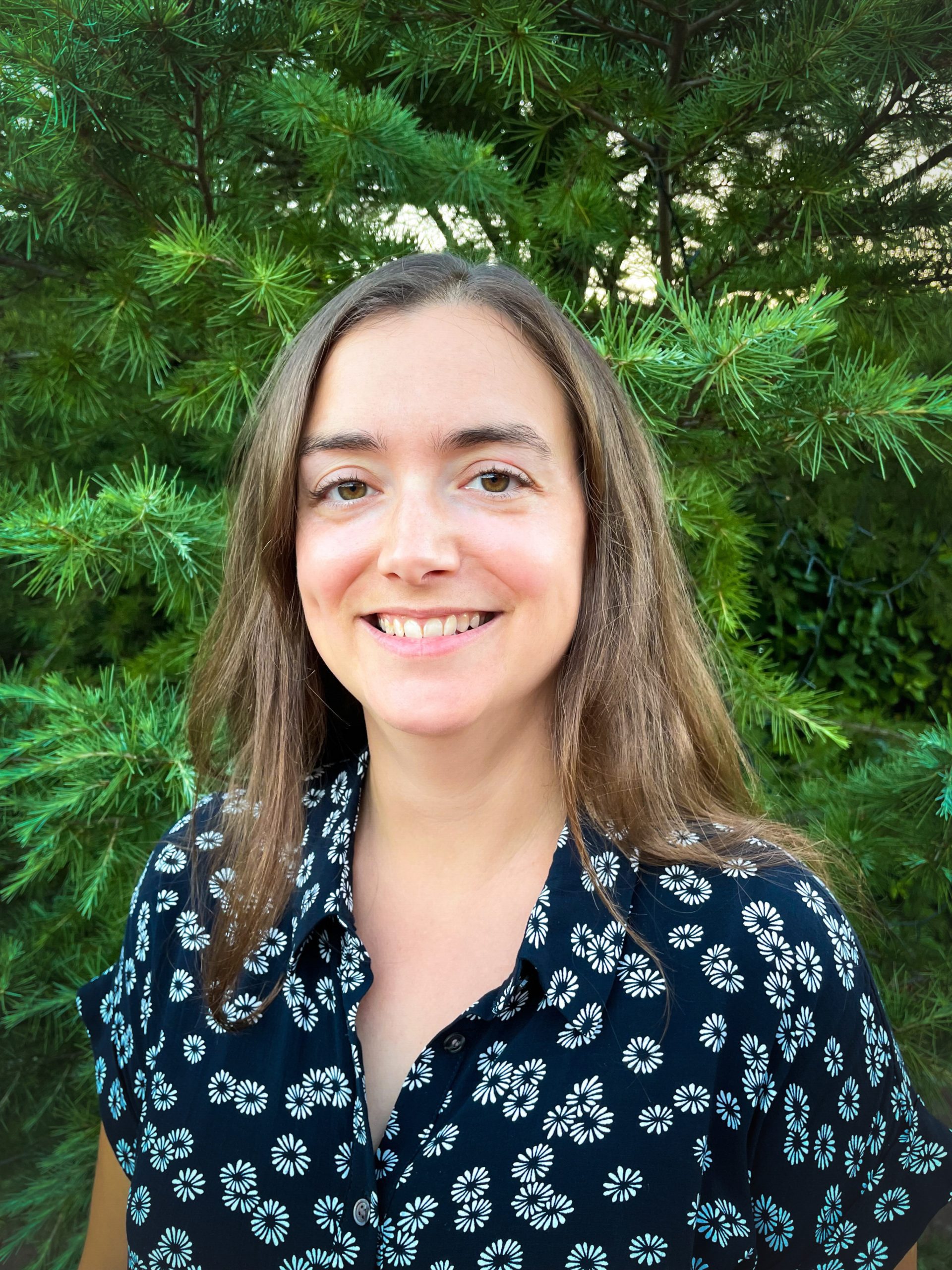 BHAA Board & Committee - BHAA